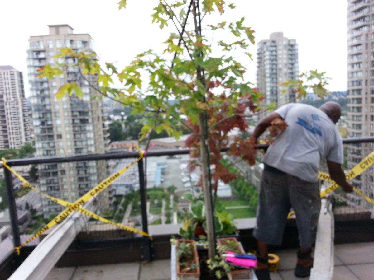 Swing Stage Rigging - Cunningham Sealing